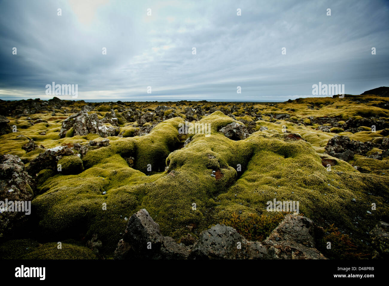 Moss lava field hi-res stock photography and images - Alamy