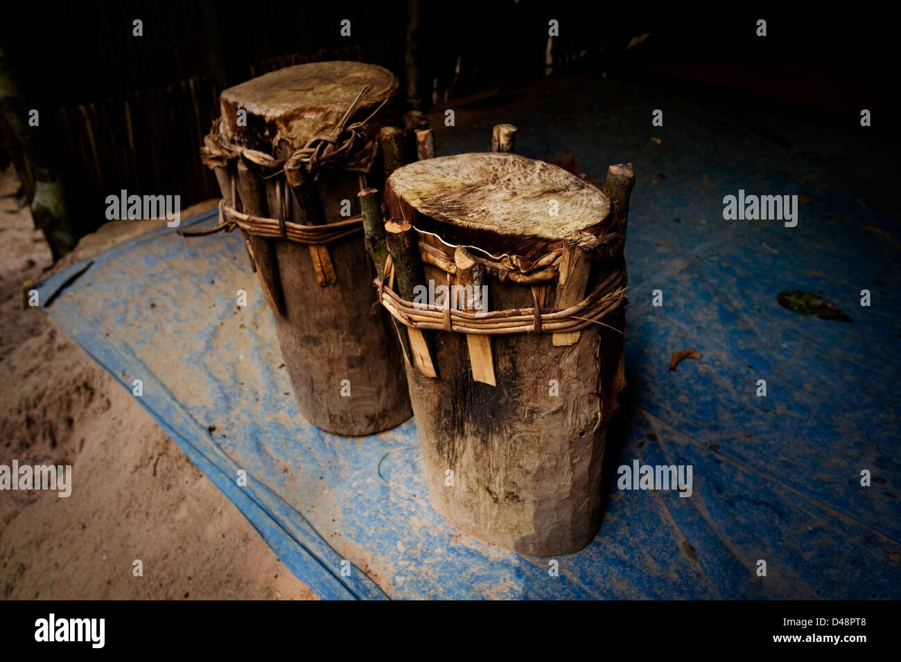 Pygmy drums at the Baï-Hoko gorilla research outpost in Dzangha-Ndoki ...