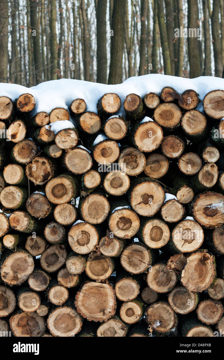 Winter wood pile ready for shipment Stock Photo - Alamy
