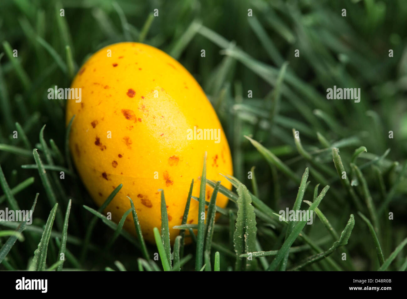 Yellow speckled easter egg Stock Photo - Alamy
