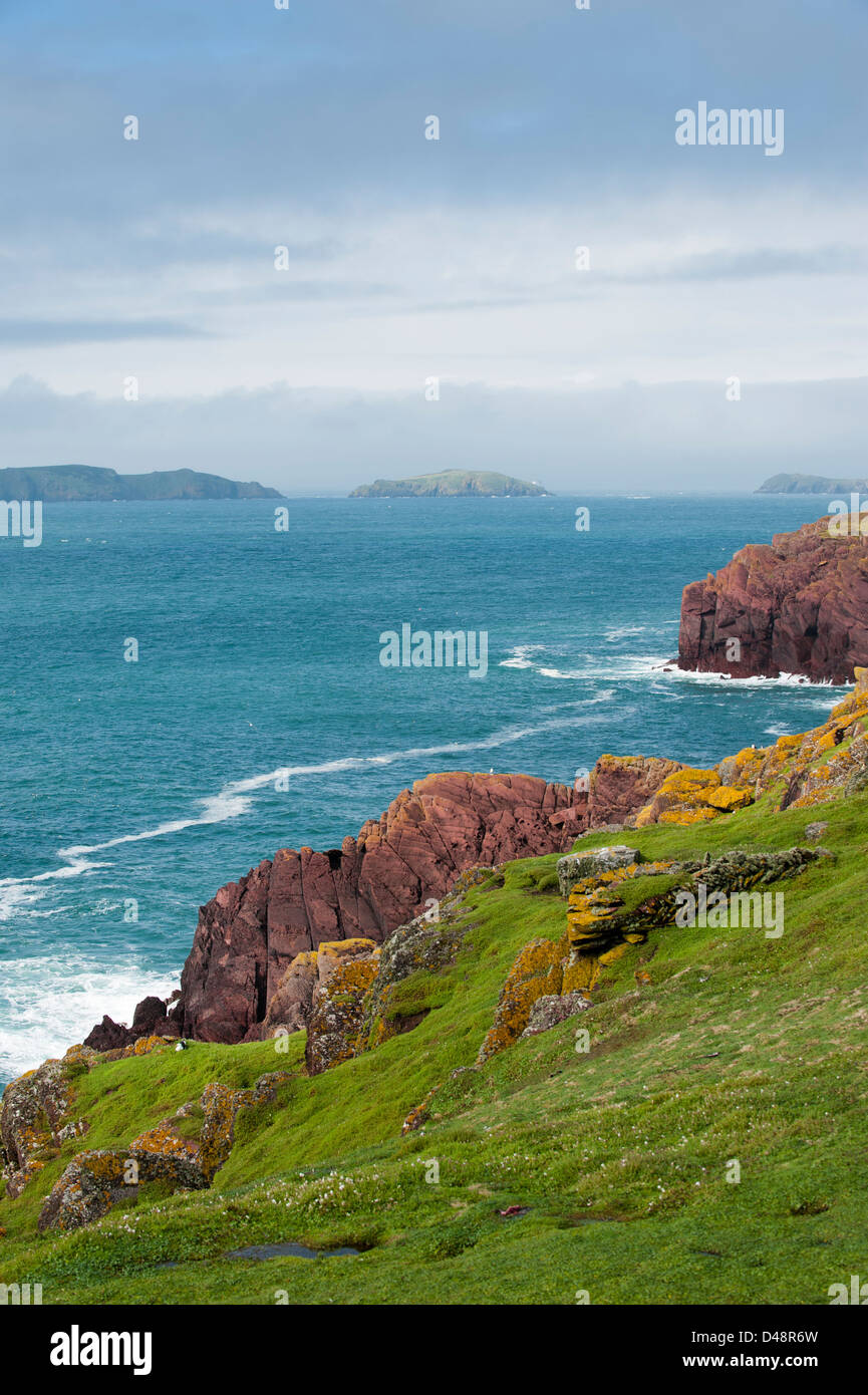 Red sandstone cliffs of the coastline of Skokholm Island, South ...