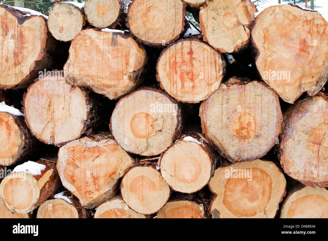 How to cut logs hi-res stock photography and images - Alamy