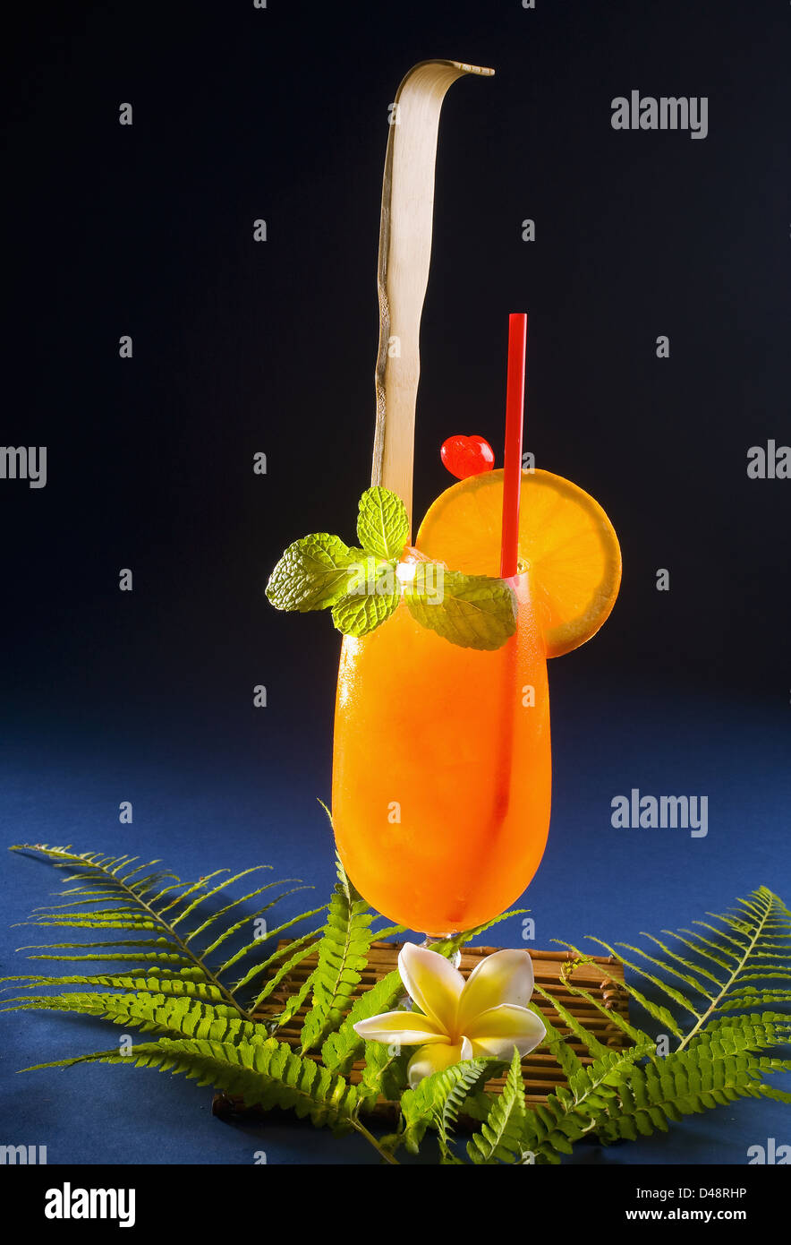 Backscratcher High Resolution Stock Photography and Images - Alamy