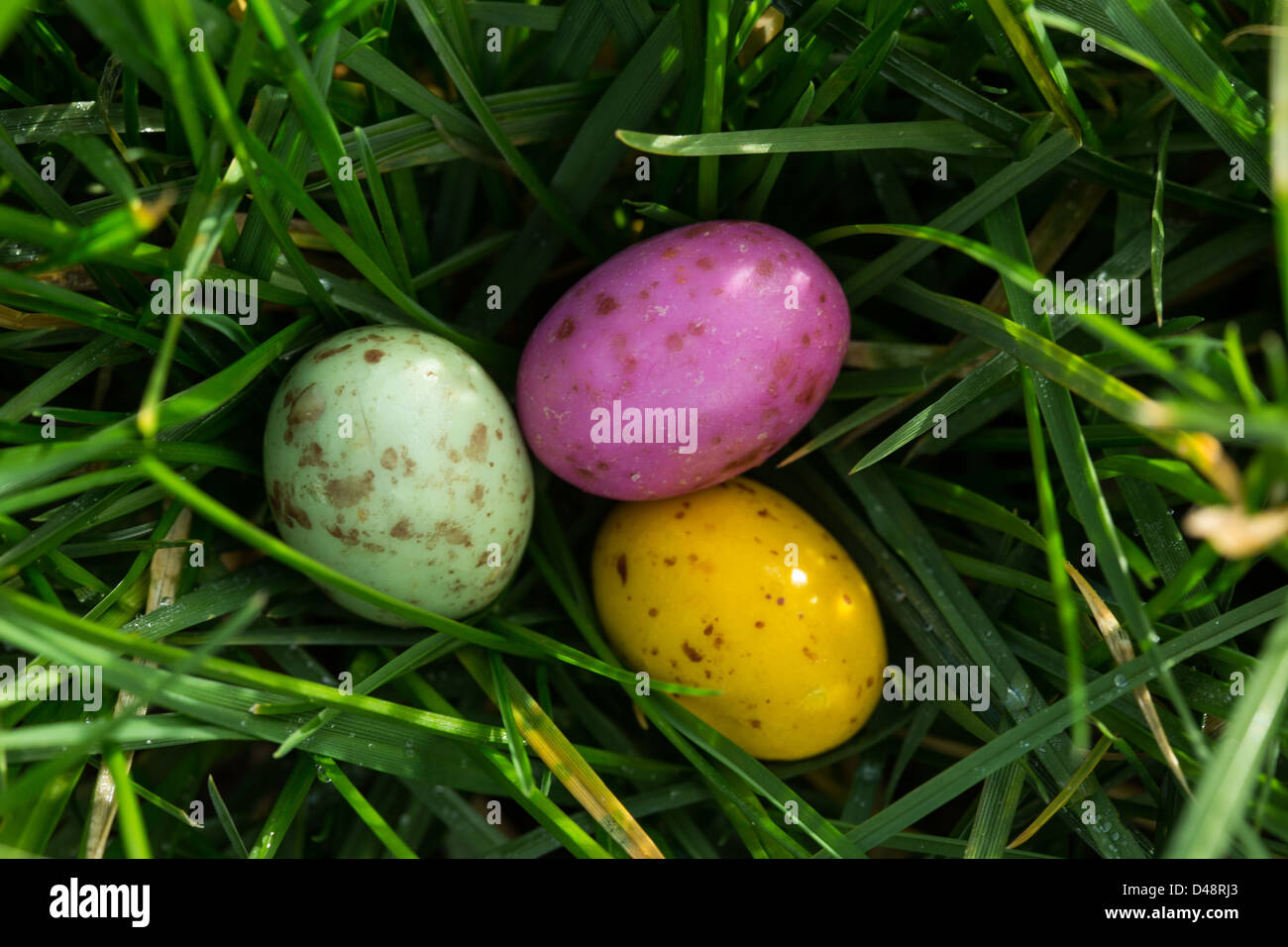 Small easter hi-res stock photography and images - Alamy