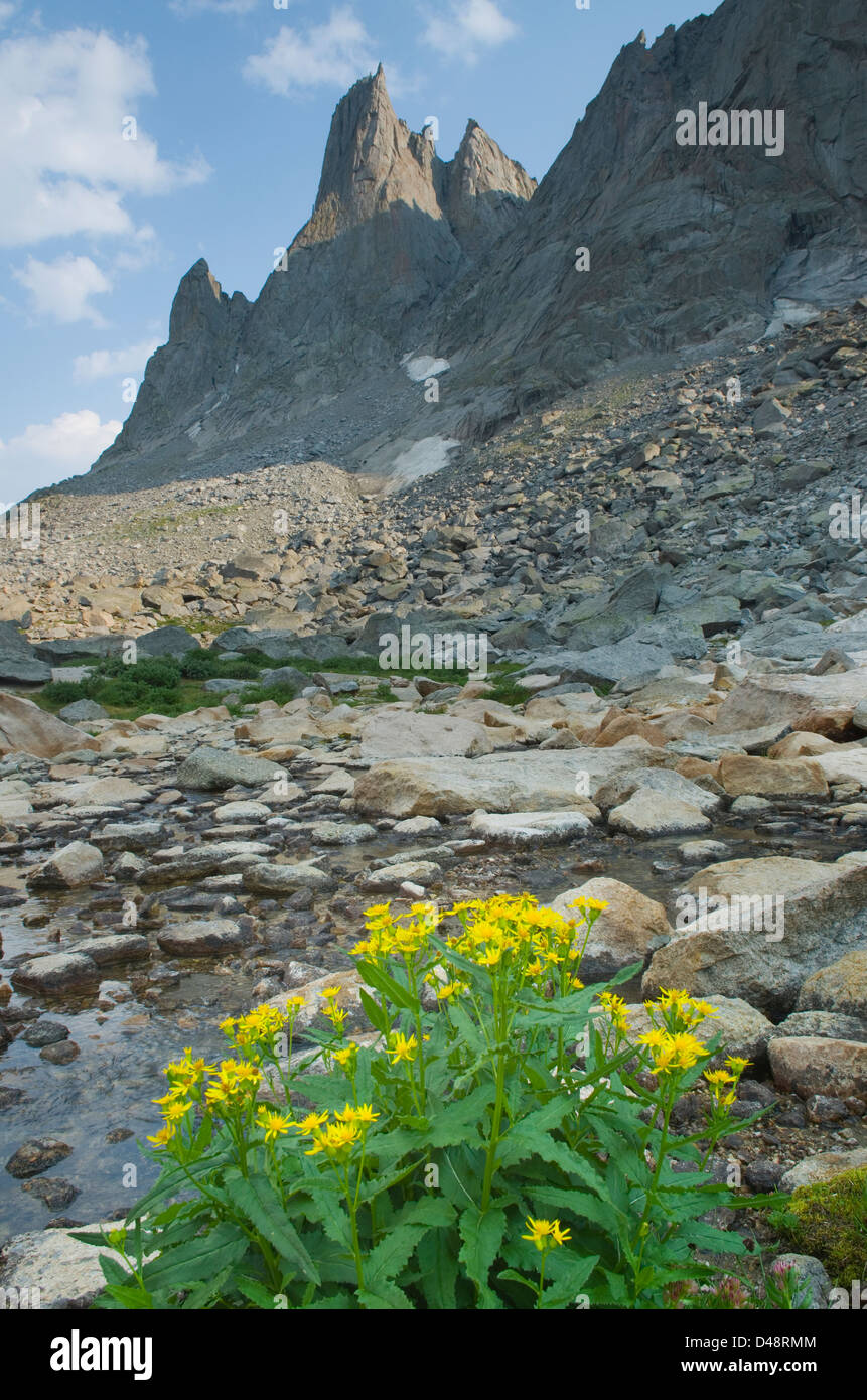 War Bonnet Peak in the Cirque of the Towers, Popo Agie Wilderness, Wind ...