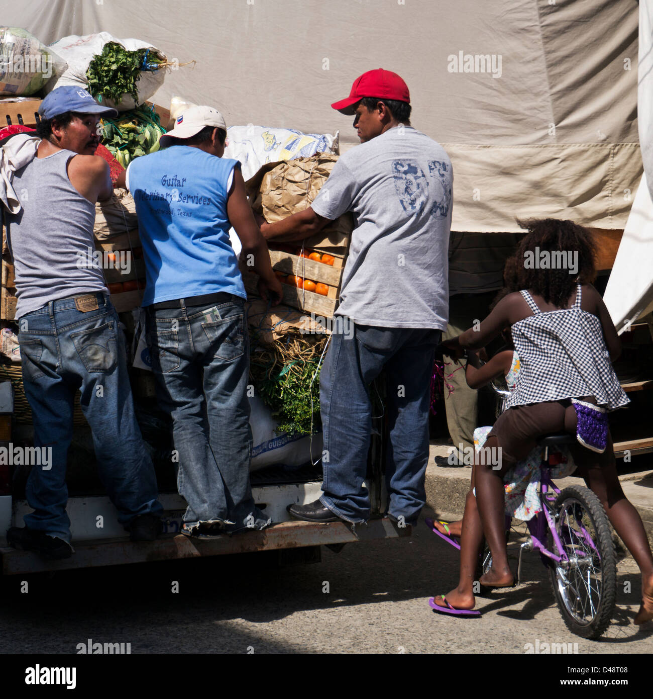 Men ride at the back of a vegetable van distributing vegetables around ...