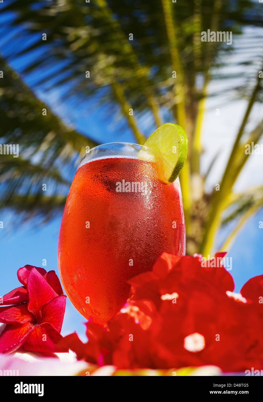 Pink bougainvillea bright cocktail bar hi-res stock photography and ...