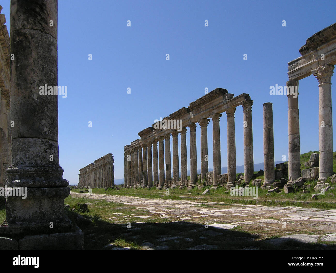 The ancient city of Apamea in Syria, known for its Roman ruins ...