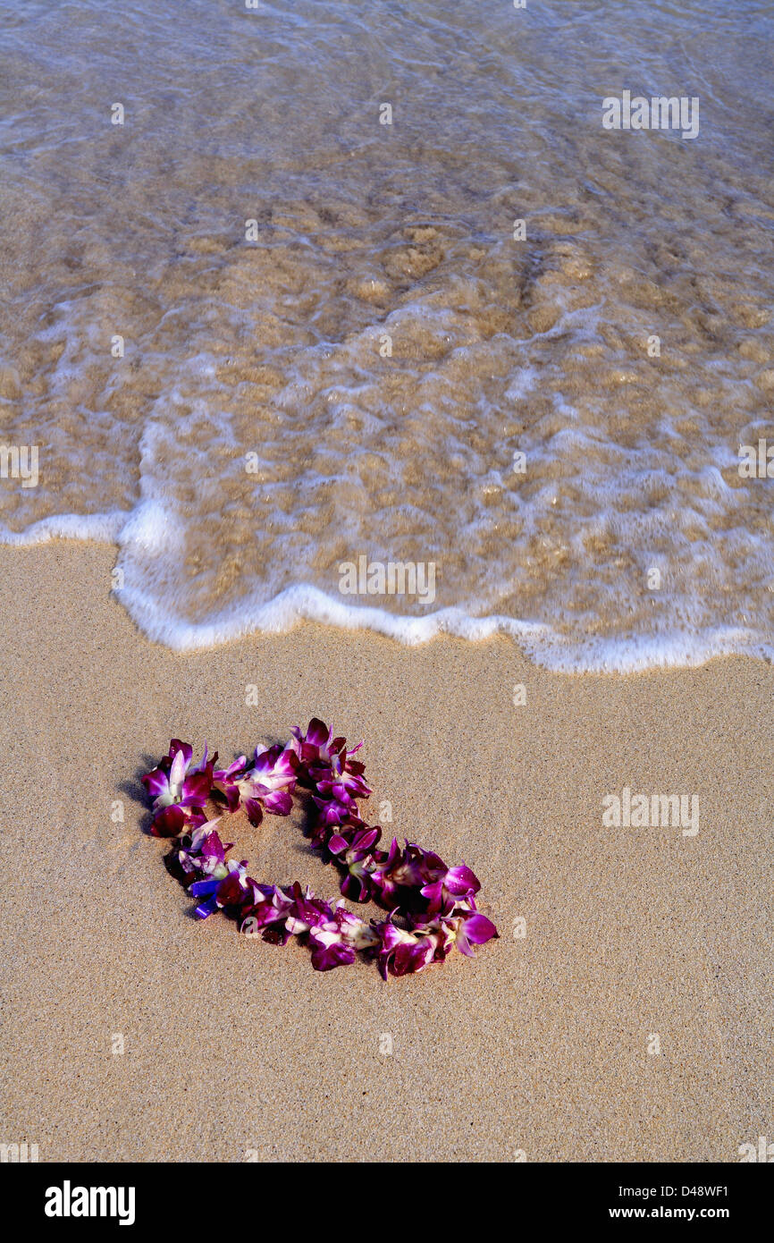 Close-Up Of Orchid Lei In Sand On Beach, Foaming Shore Waters Stock ...