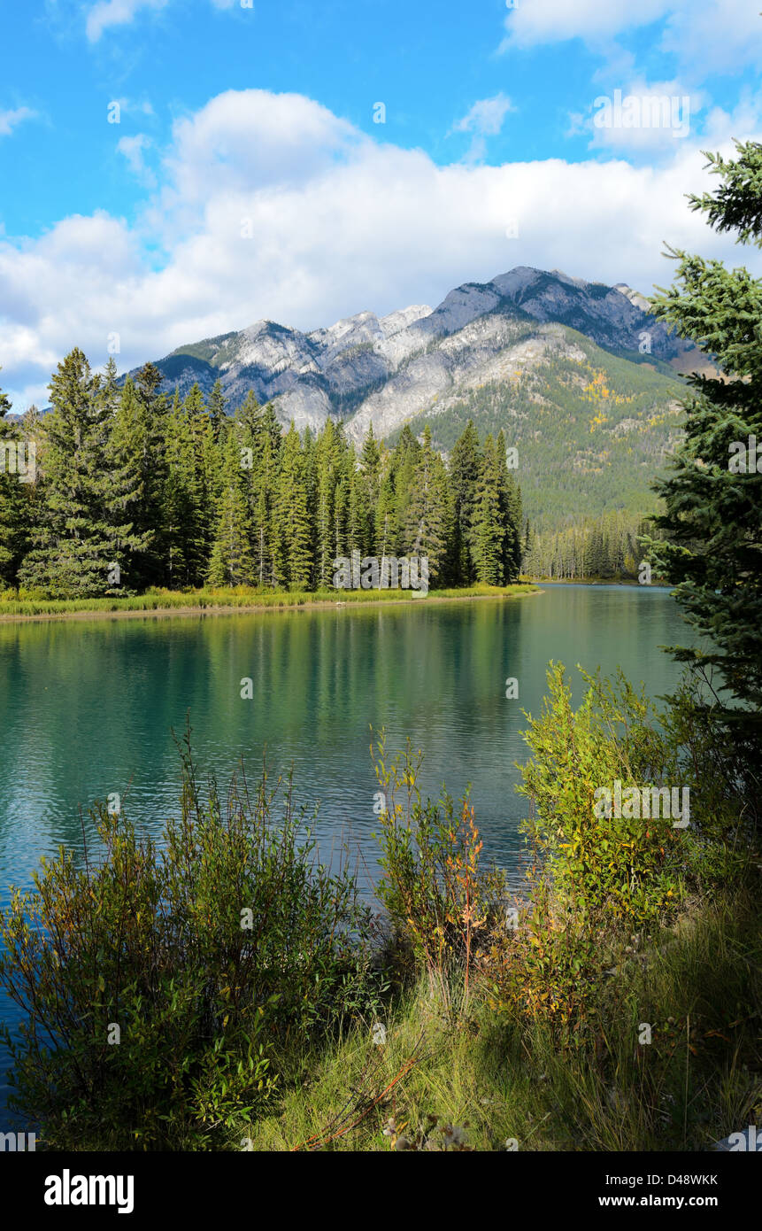 Bow River in front of Mount Norquay Banff National Park Alberta Canada ...