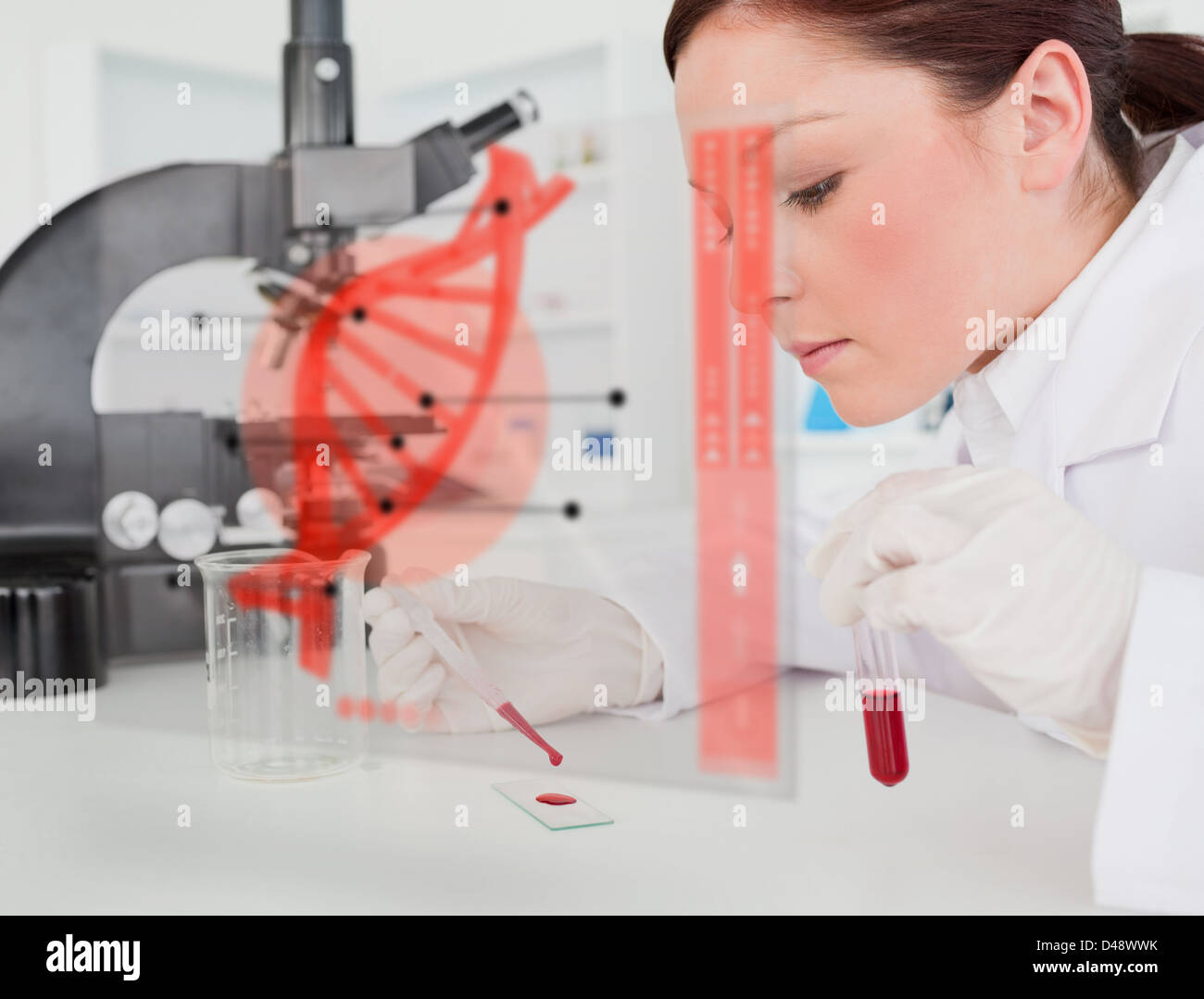 Scientist pouring drop of blood onto glass with futuristic interface ...