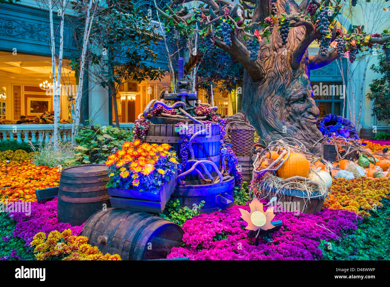 Fall season in Bellagio Hotel Conservatory & Botanical Gardens in Las ...