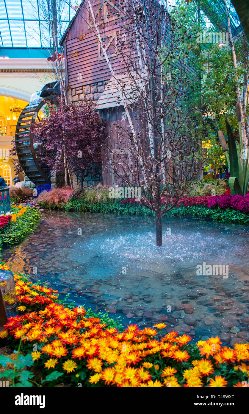 Fall season in Bellagio Hotel Conservatory & Botanical Gardens in Las ...