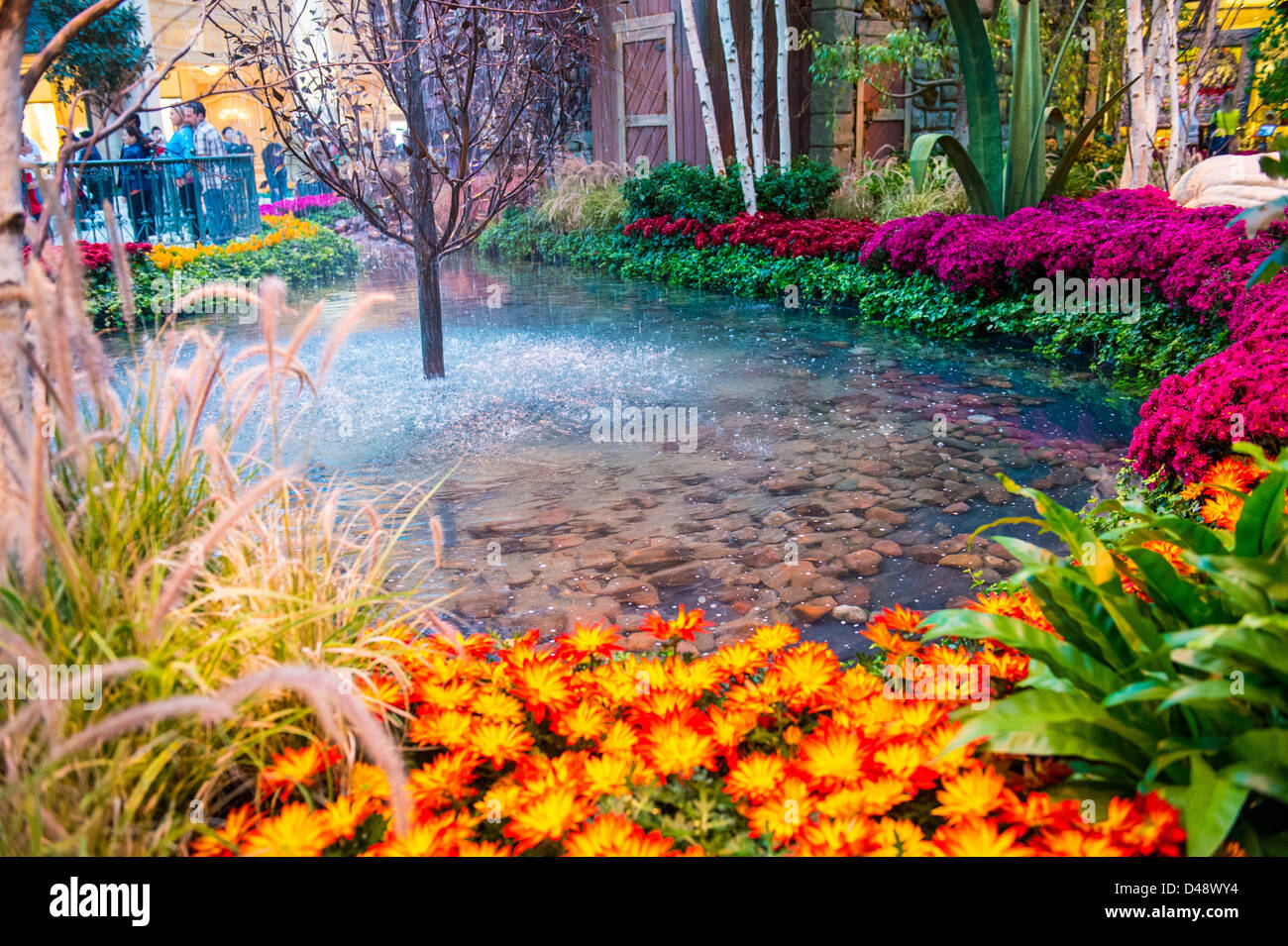 Fall season in Bellagio Hotel Conservatory & Botanical Gardens in Las ...