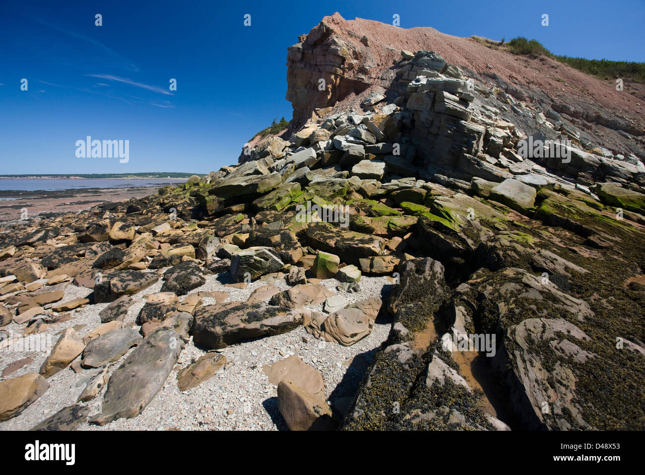 Joggins fossil cliffs hi-res stock photography and images - Alamy