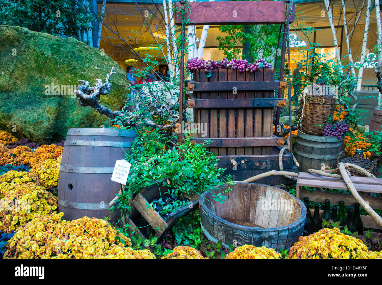 Fall season in Bellagio Hotel Conservatory & Botanical Gardens in Las ...