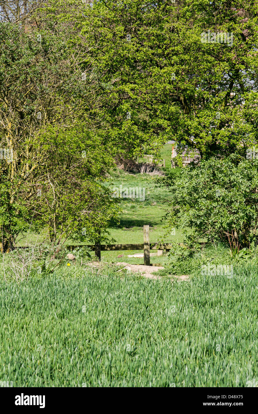 A secret path through the countryside Stock Photo - Alamy