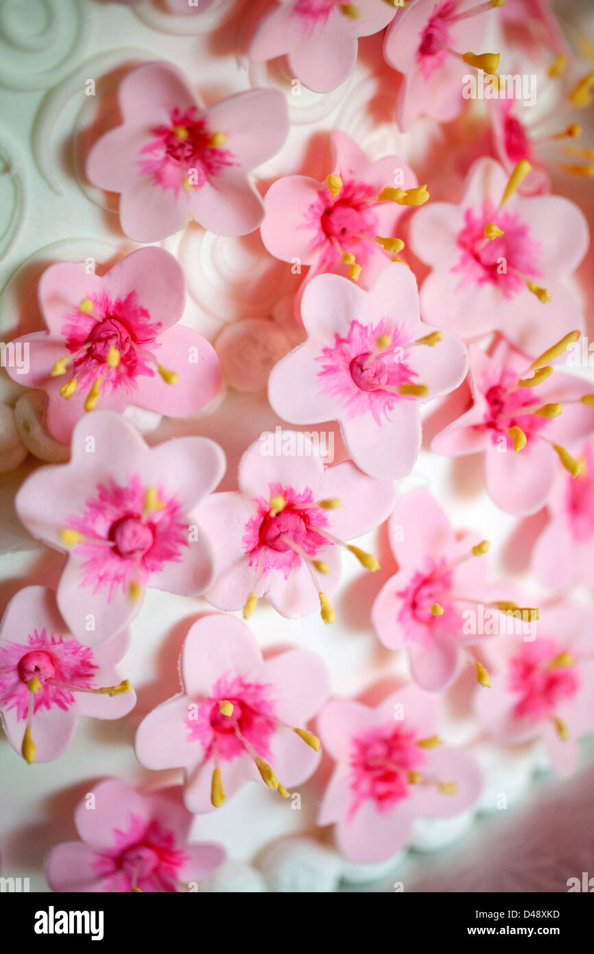 White wedding cake fuchsia flowers hi-res stock photography and images ...