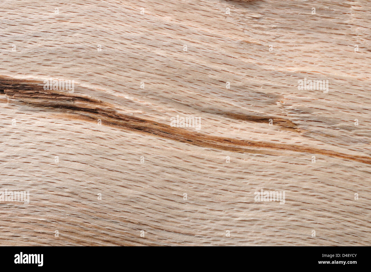 Wood Texture Close Up New High Resolution Stock Photography and Images ...