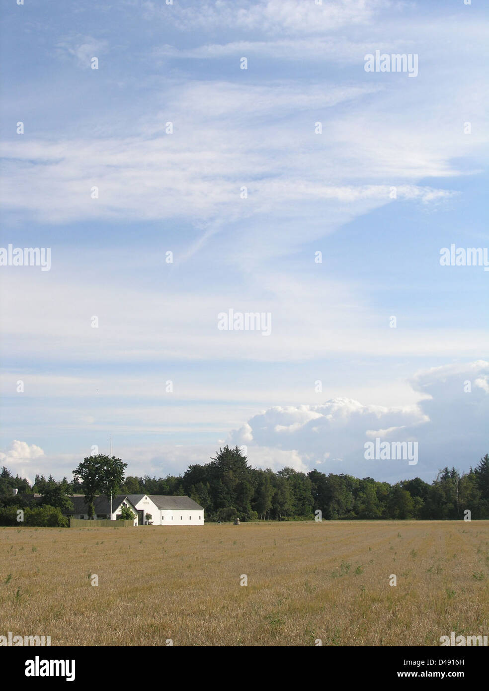 The farmhouses of Læsø Island in Denmark reflect the region's ...