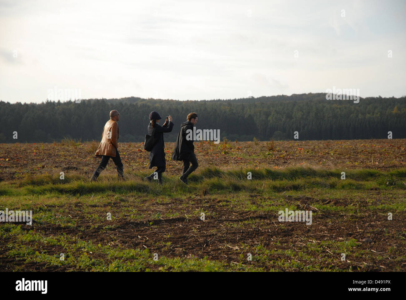 A creative collaboration between colleagues reflects architectural ...