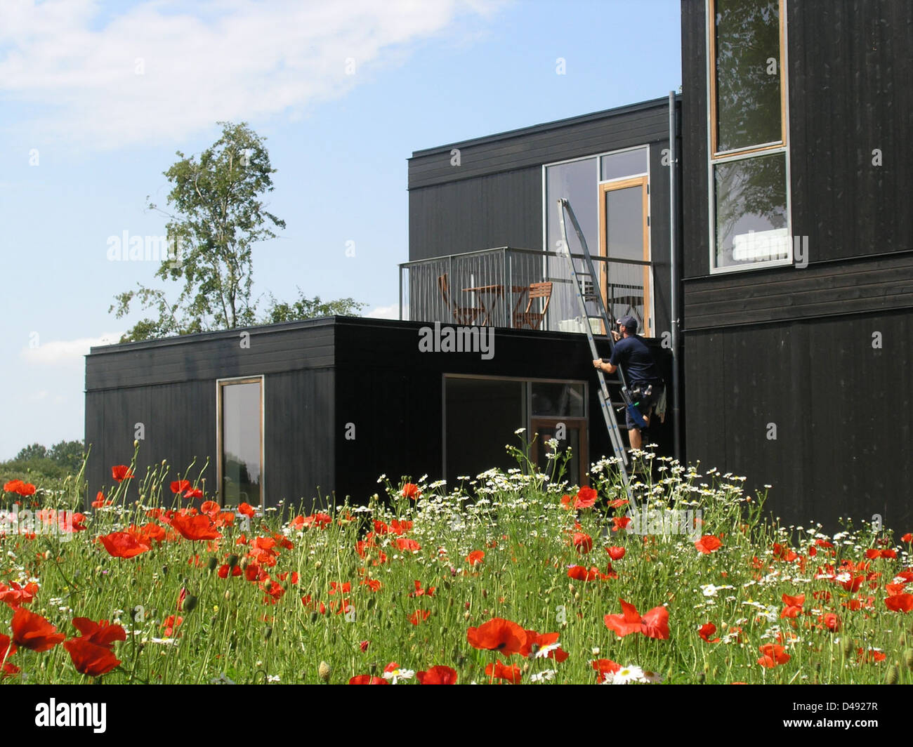 Tegnestuen Vandkunsten's design for low-cost housing, built using ...