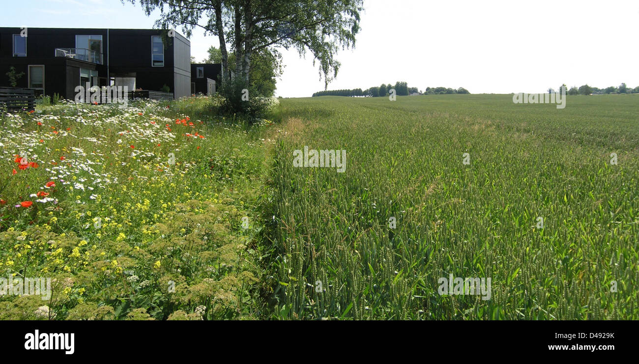 bbb low-cost housing, tegnestuen vandkunsten Stock Photo - Alamy