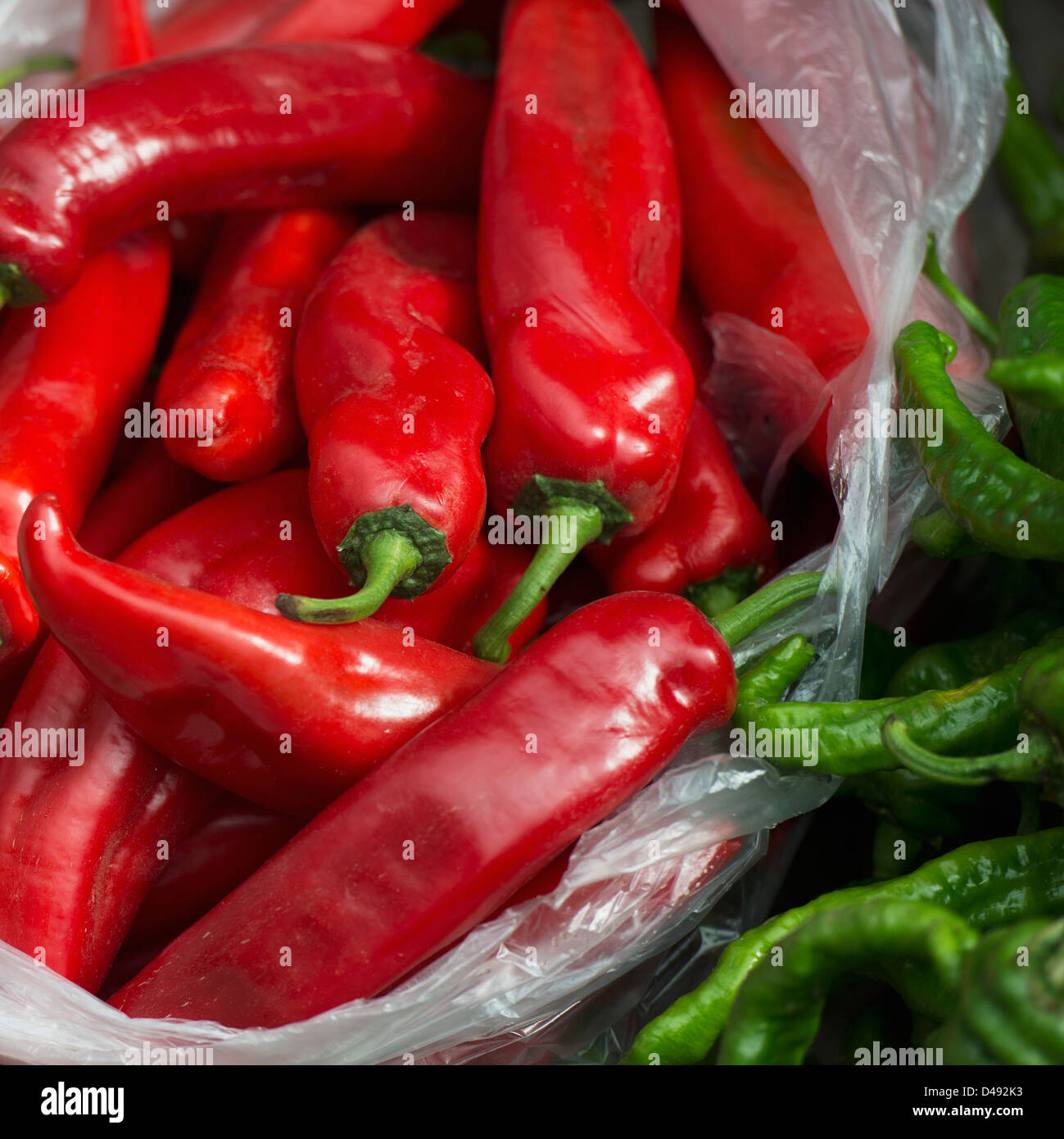 Red chilli peppers in a bag;Lhasa xizang china Stock Photo - Alamy