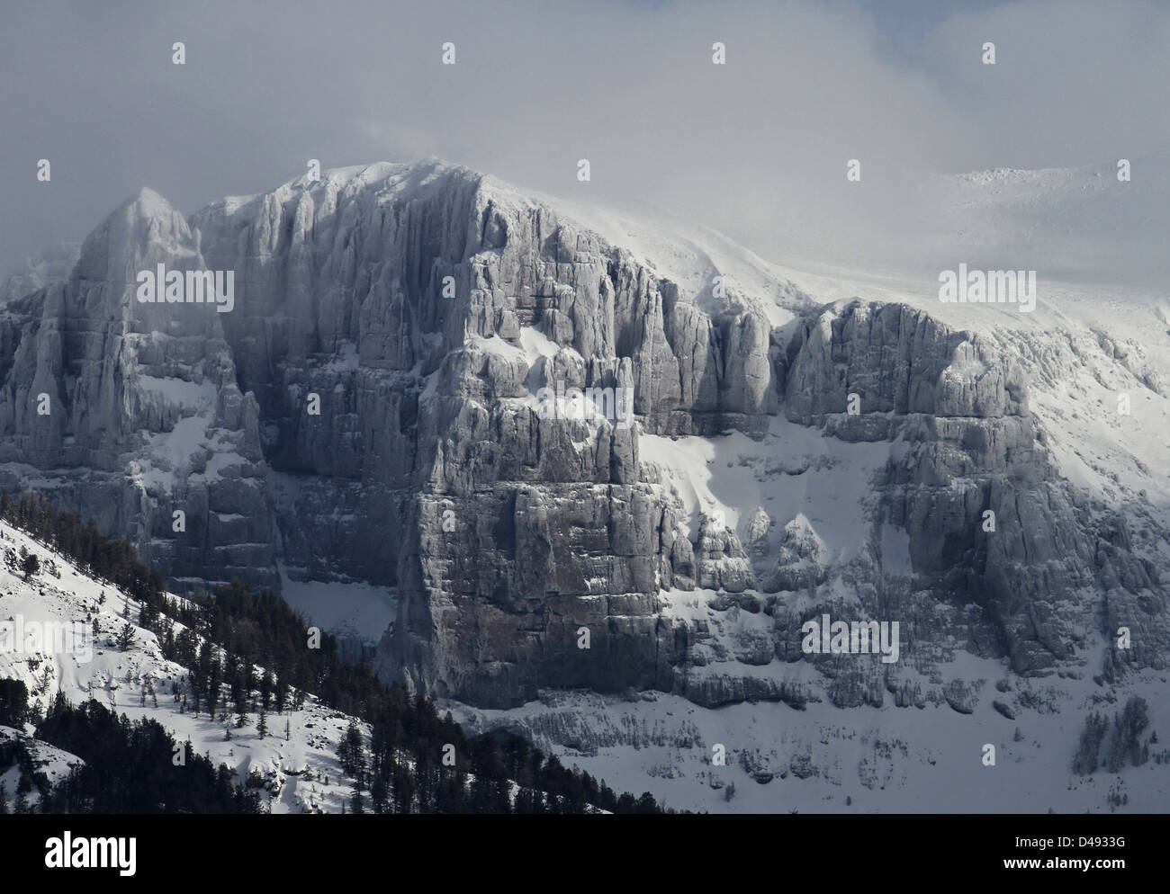 Winter view of the west ridge of Amphitheater Mountain covered in snow ...