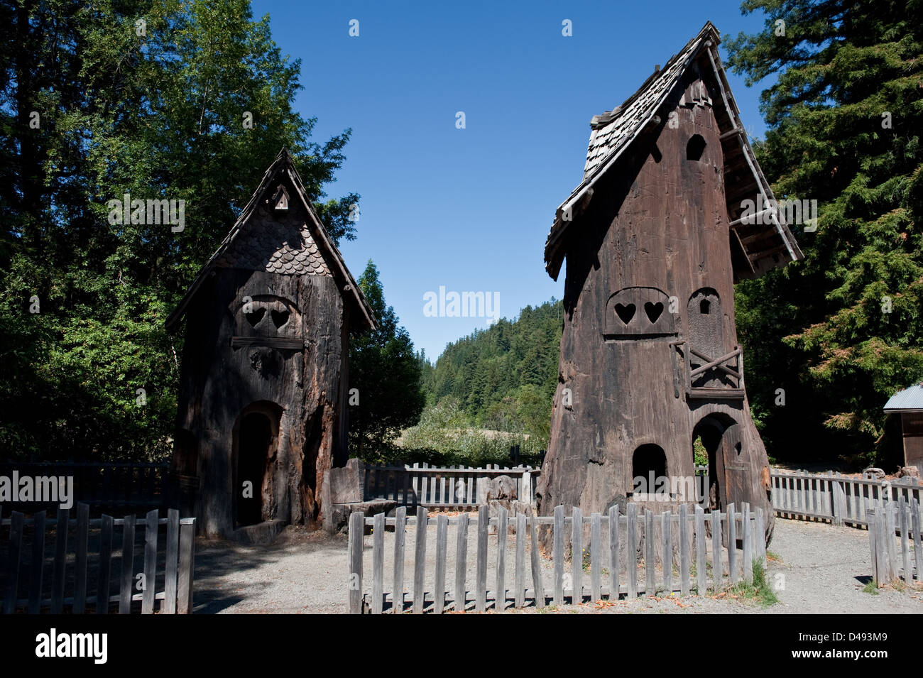 Kuestenmammutbaum landscape hi-res stock photography and images - Alamy