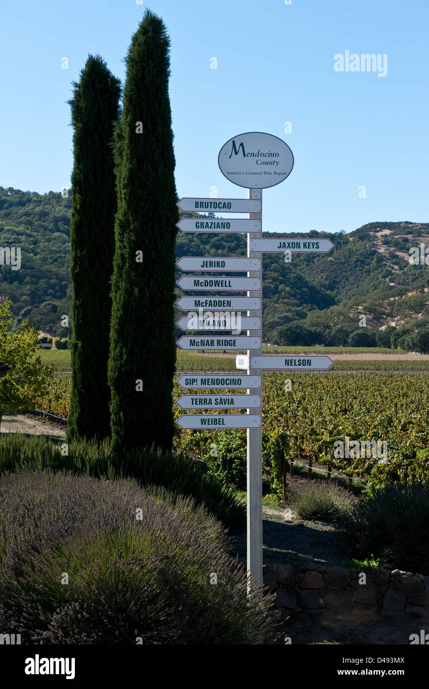 Various wineries hi-res stock photography and images - Alamy