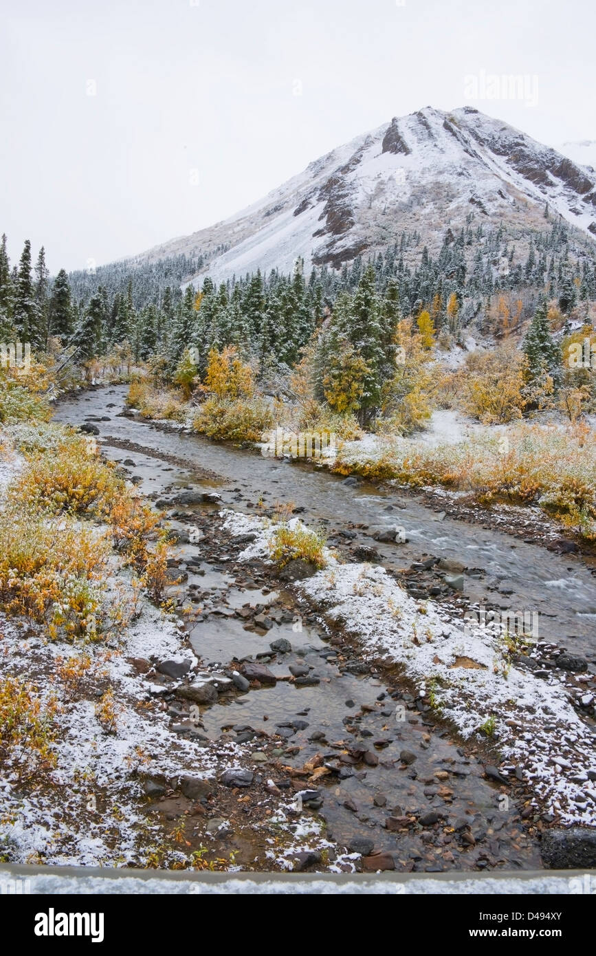 Igloo mountain denali national park hi-res stock photography and images ...