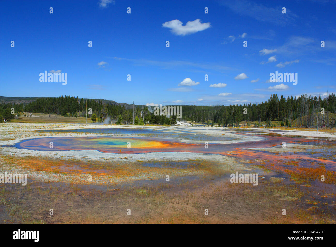 Hot spring yellowstone national park hi-res stock photography and ...