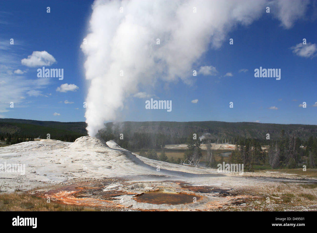 Yellowstone National Park, Castle Geyser, Upper Geyser Basin Stock ...