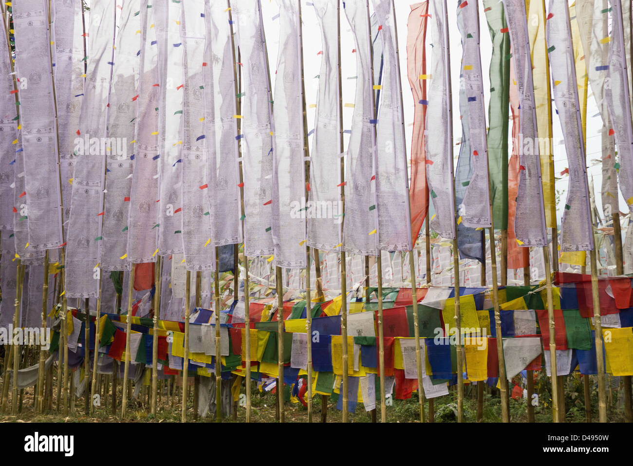 Buddhist Prayer Flags At Tashiding Monastery;West Sikkim India Stock ...