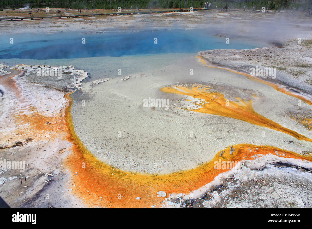 The Grand Prismatic Spring , Yellowstone National Park, United States ...
