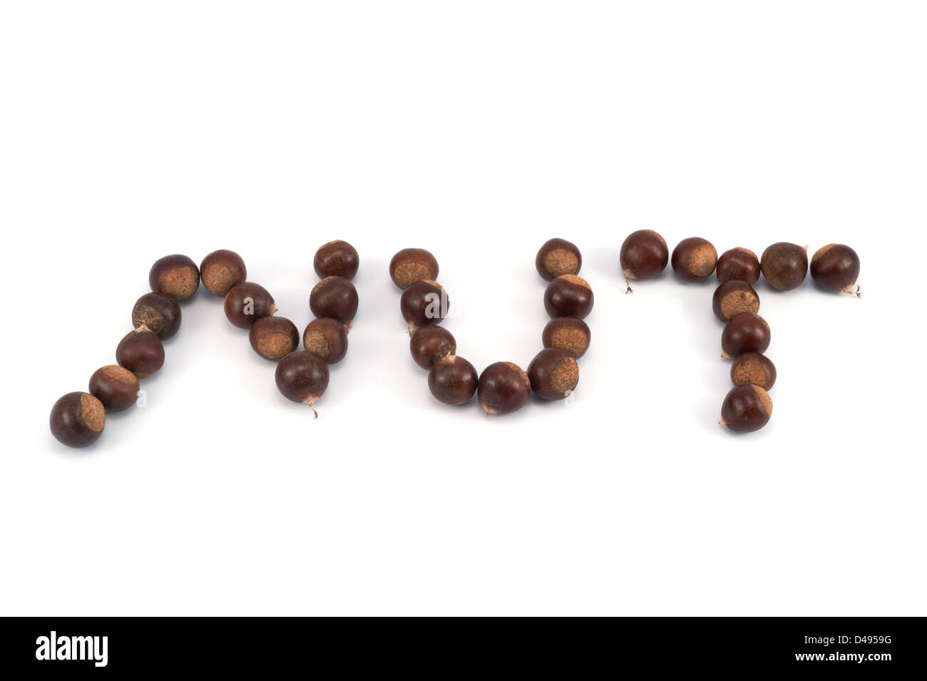 nut word spelled of chestnut group on white background Stock Photo - Alamy