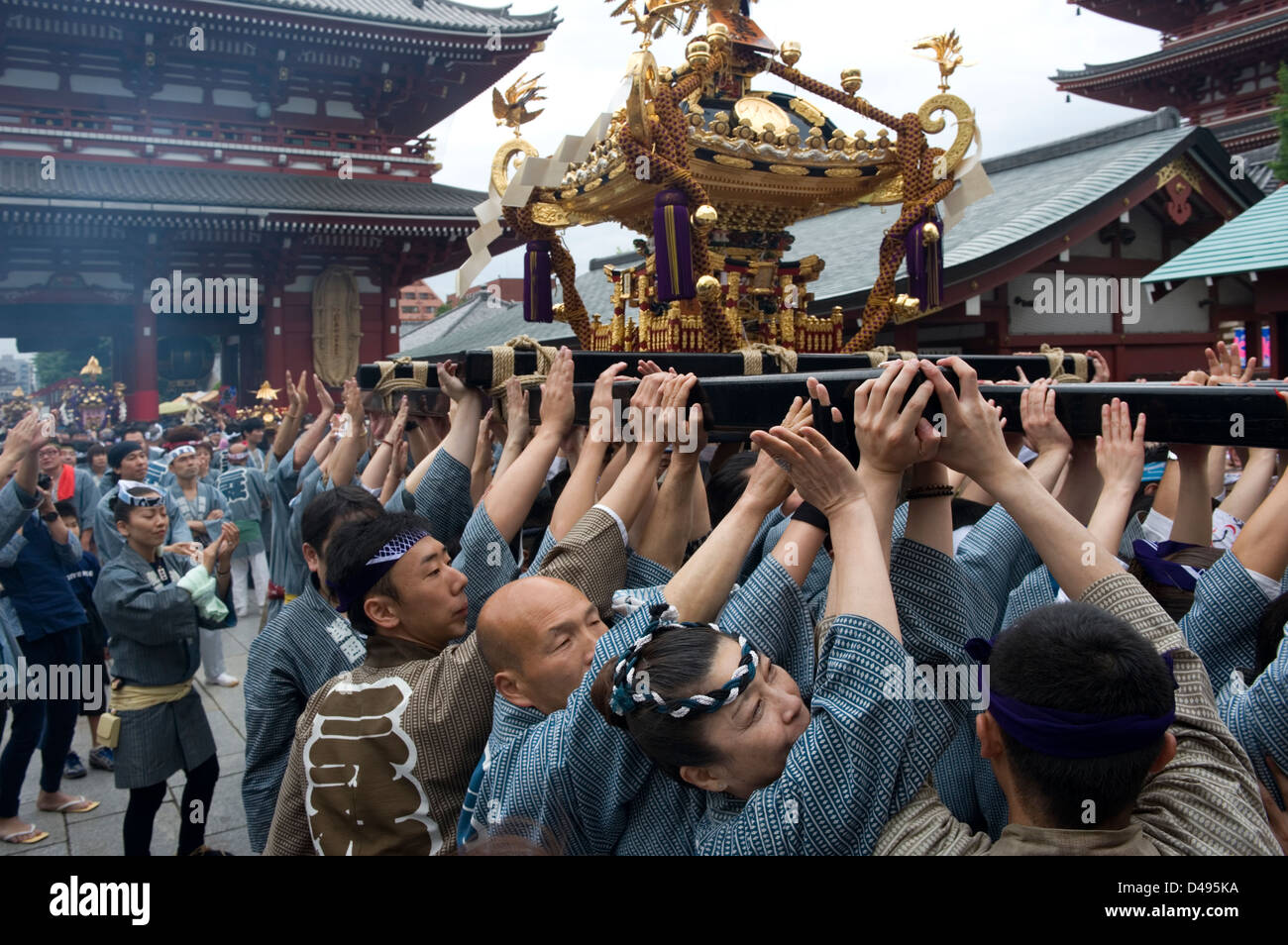 Gold decorated sacred mikoshi portable shrine carried around Sensoji ...