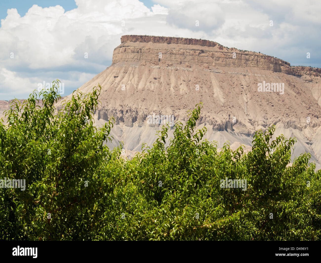The palisade ridge hi-res stock photography and images - Alamy