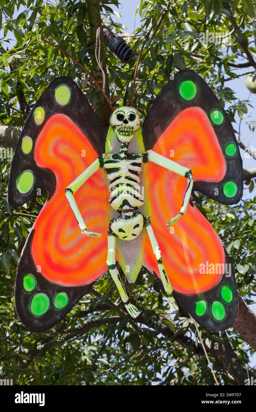 Skeleton butterfly painted in flourescent paint with black lightbulb ...