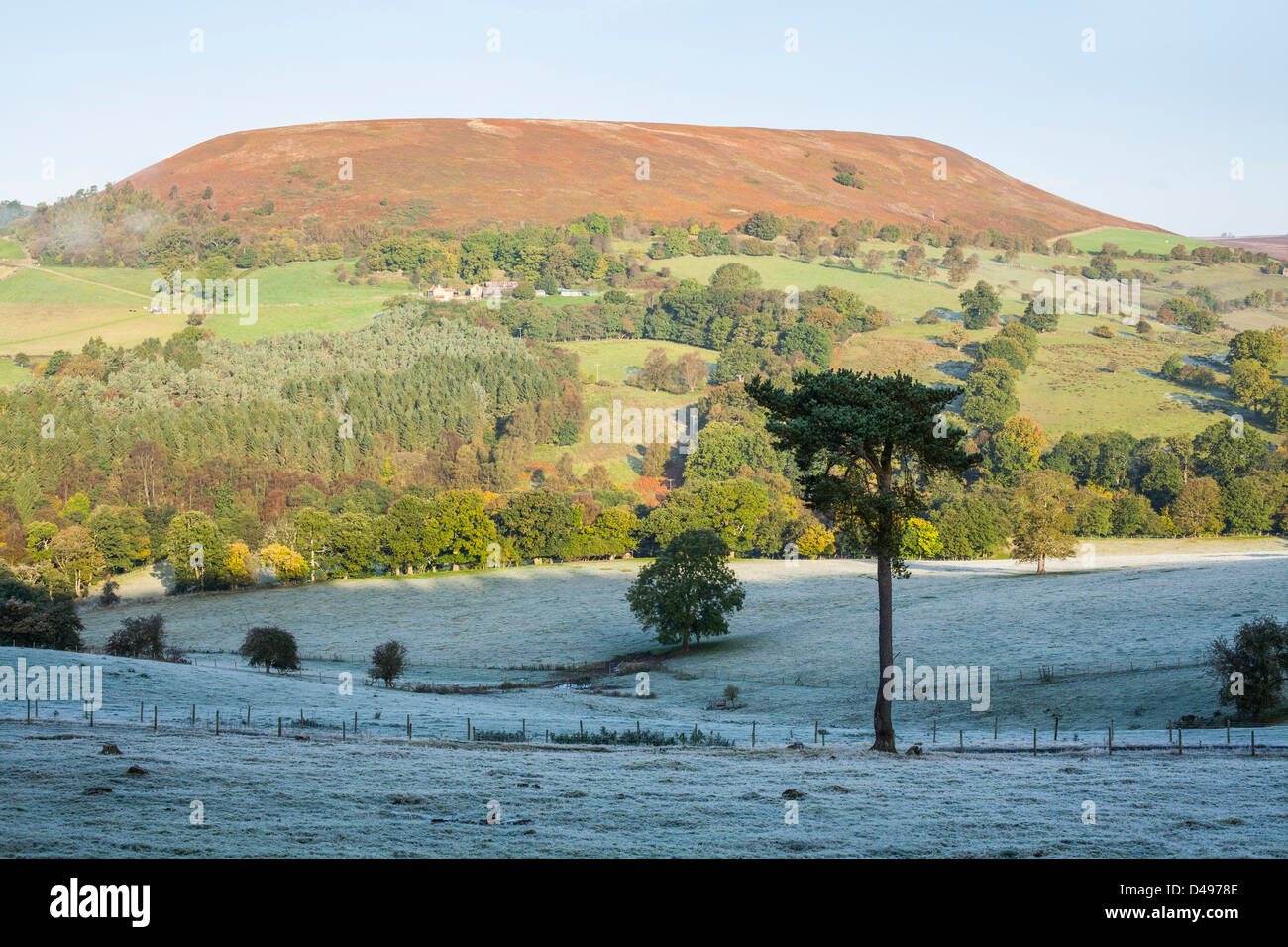 Easterside hill in Bilsdale, North Yorkshire Stock Photo - Alamy