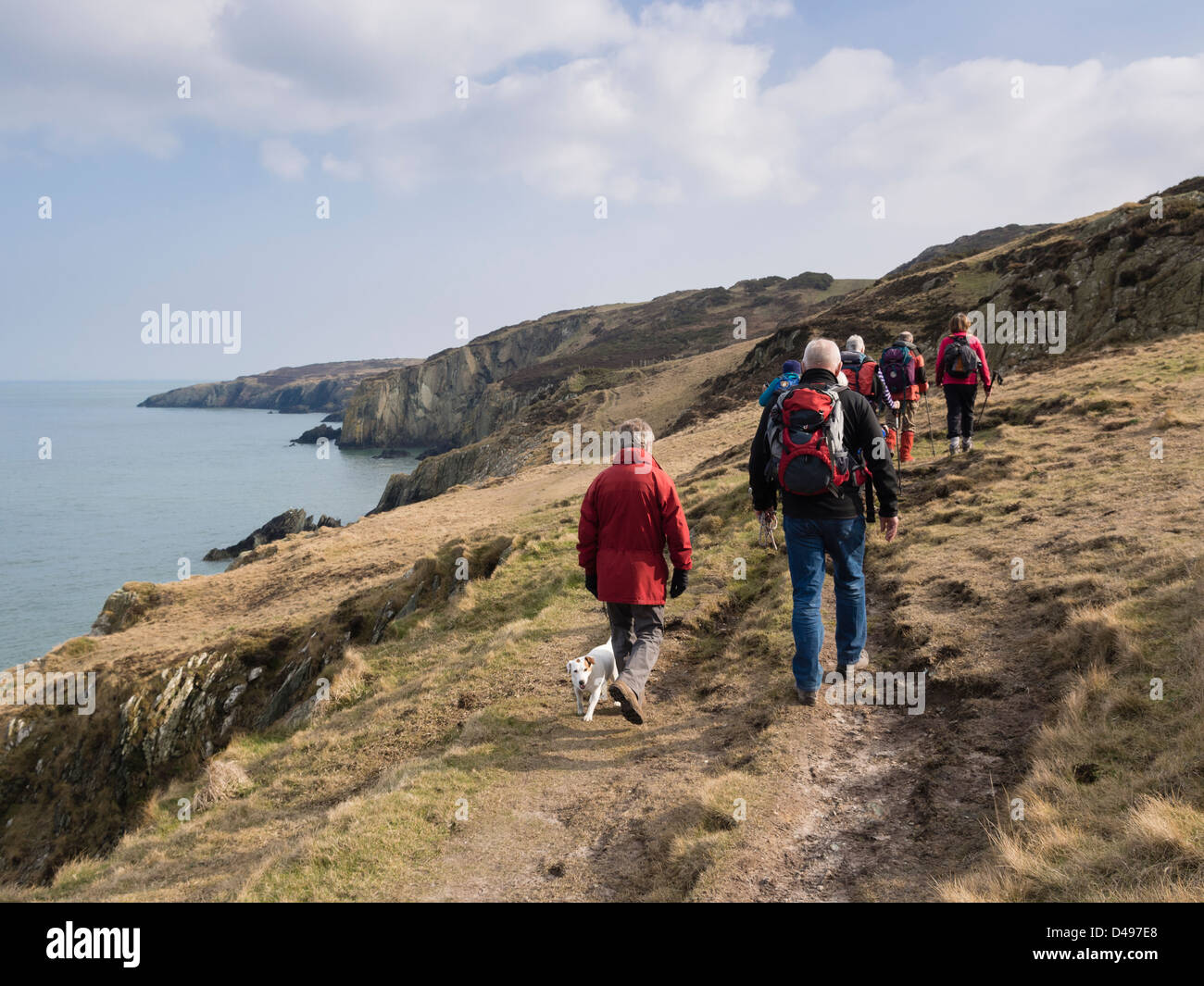 Group of Ramblers walking on Isle of Anglesey Coast Path towards Bull ...