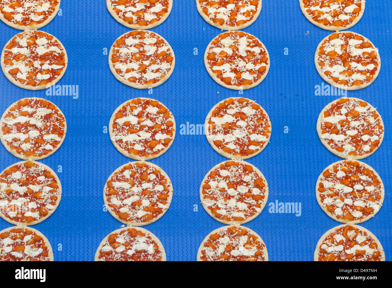 Berlin, Germany, Tiefkuehlpizzen on the assembly line at Freiberger ...