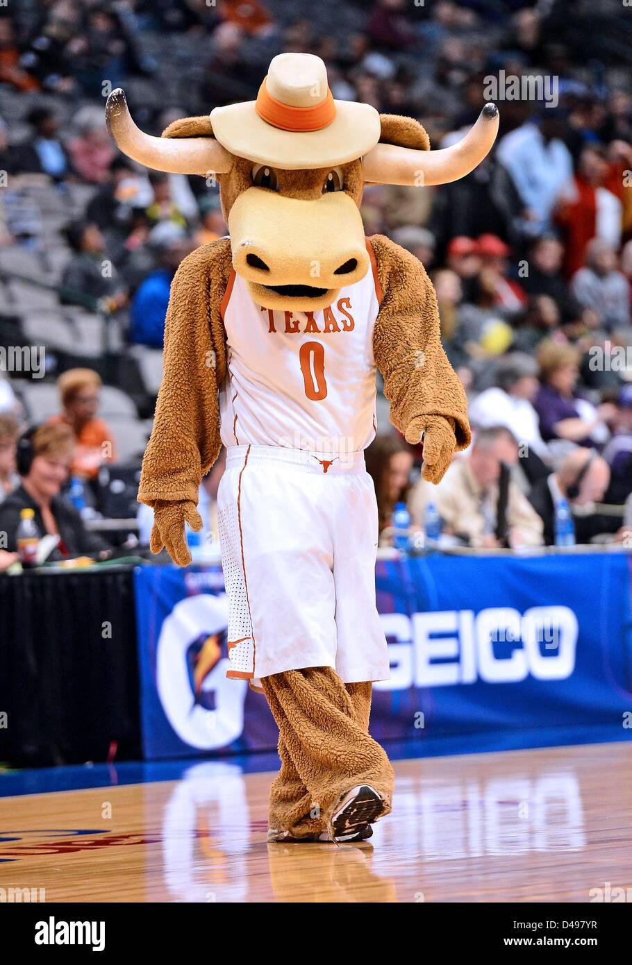 Texas longhorn mascot hi-res stock photography and images - Alamy