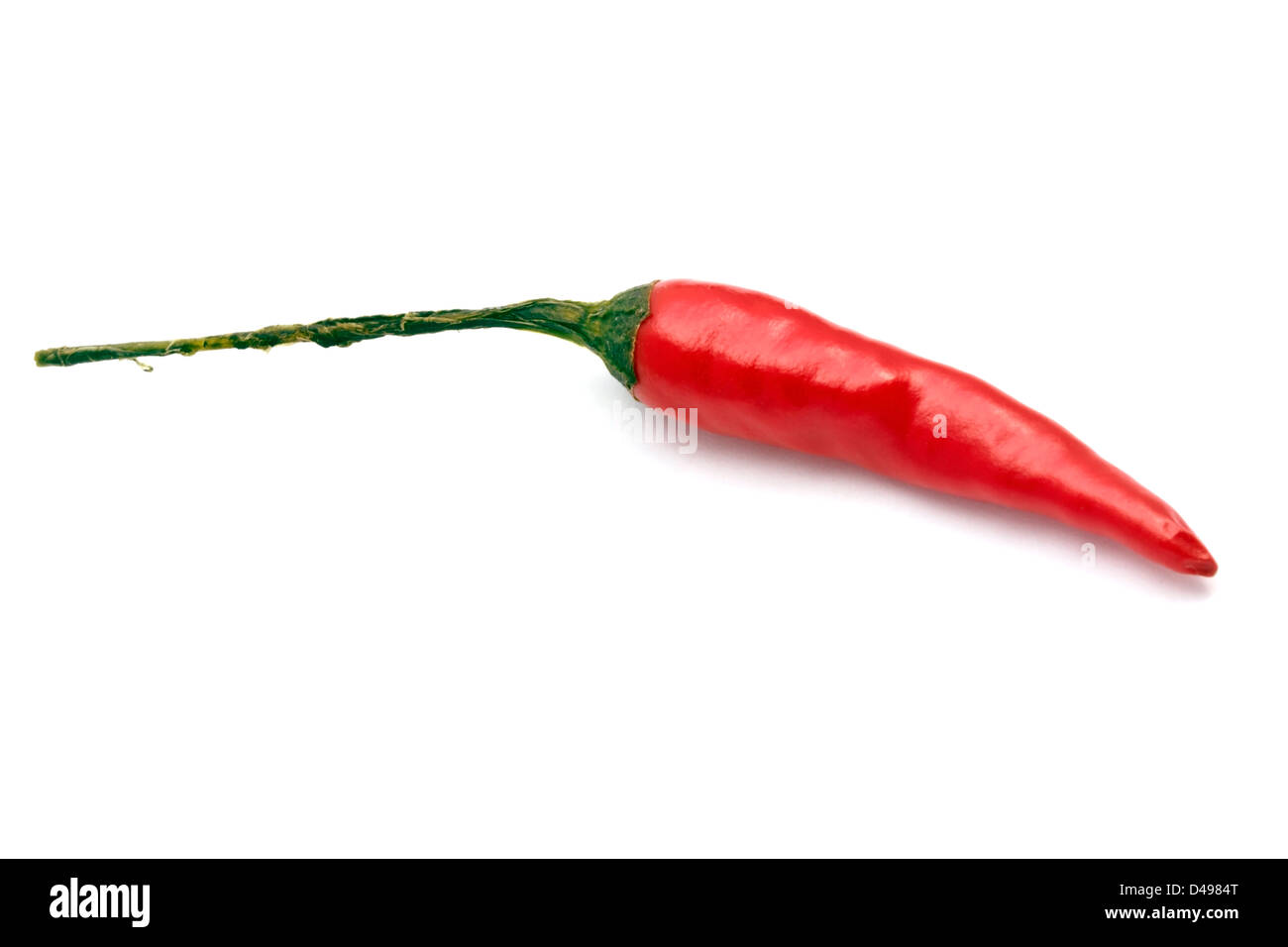 Fresh red chilli isolated on white background Stock Photo - Alamy