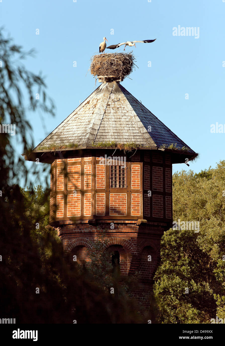 On the eyrie hi-res stock photography and images - Alamy