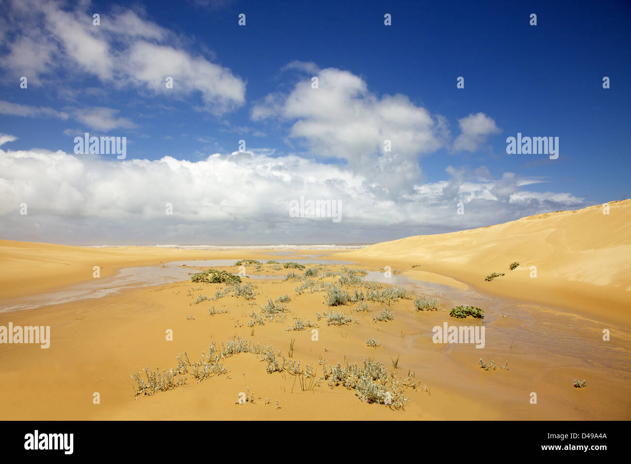 Bushman's river south africa hi-res stock photography and images - Alamy