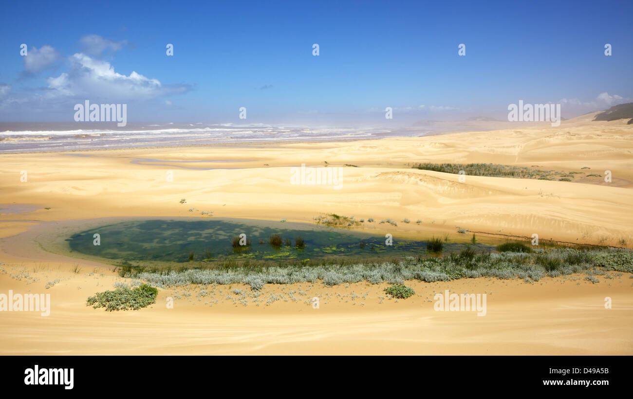 Bushmans river hi-res stock photography and images - Alamy