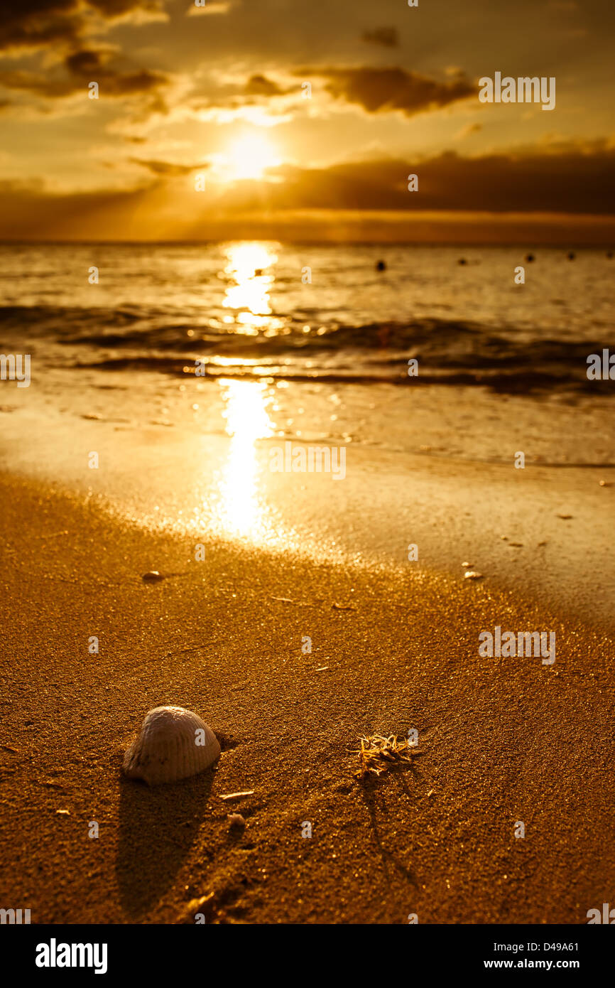 Shell lagoon hi-res stock photography and images - Alamy