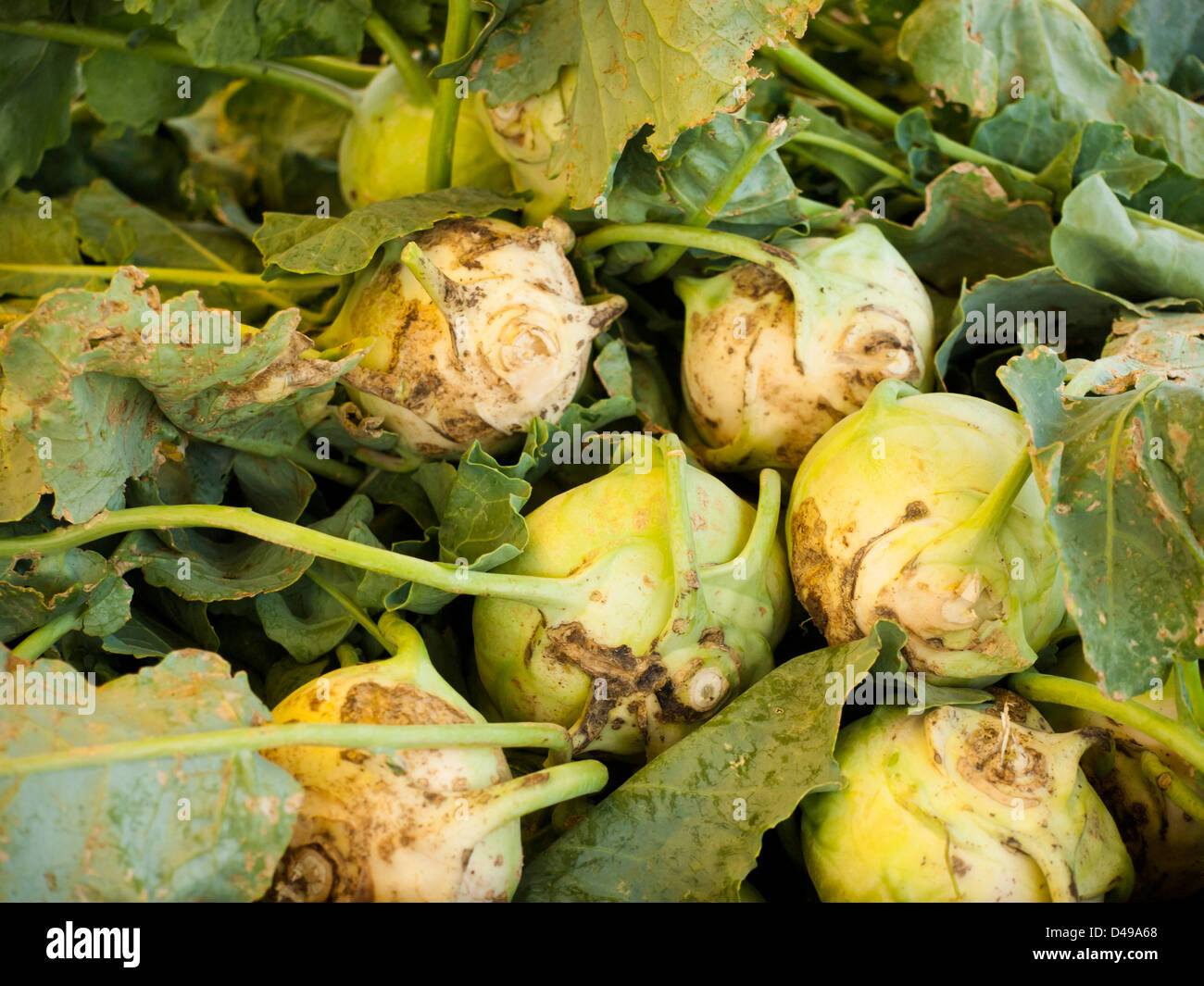 Fresh organic food at the local farmers market. Farmers markets are a ...